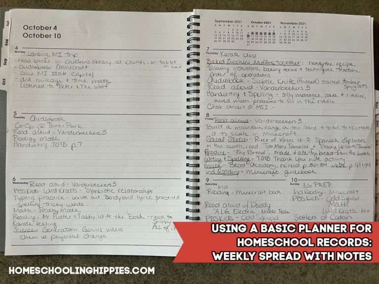 Keeping Homeschool Records: Our Easy Paper Approach - Homeschooling Hippies