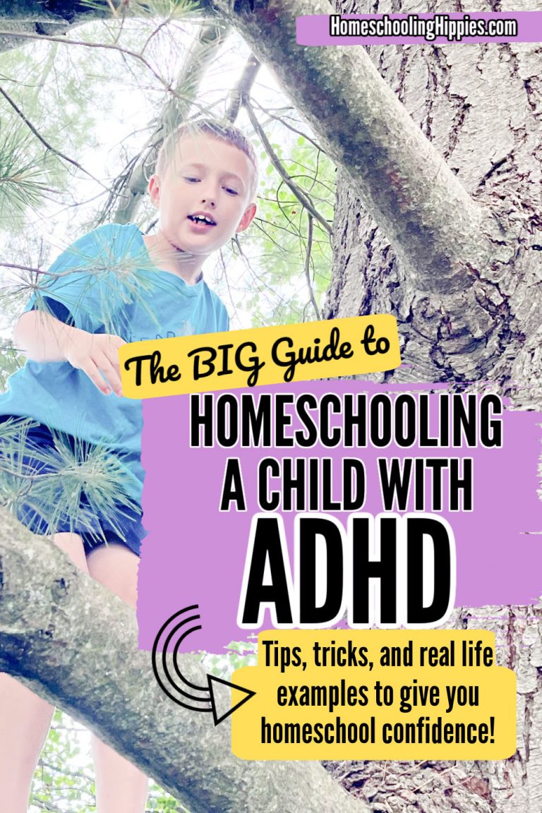 Homeschooling a Child With ADHD: 12 Tips For Making it Work ...